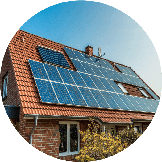 Aviva Sustainable Business Coach
